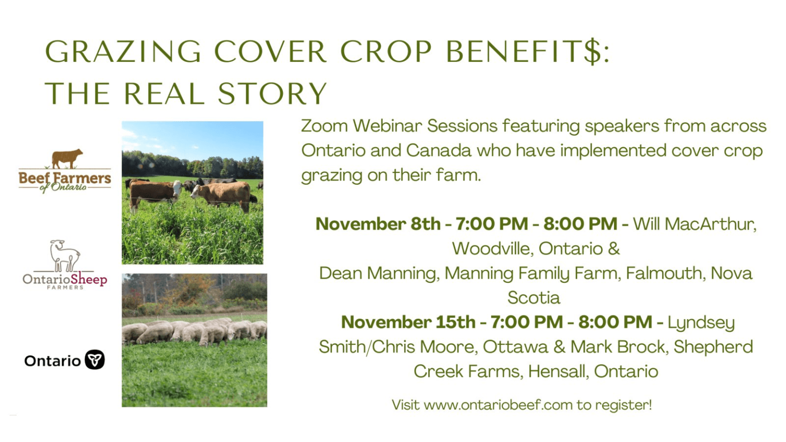 Grazing Cover Crop Benefits: The Real Story – Ontario Forage Network