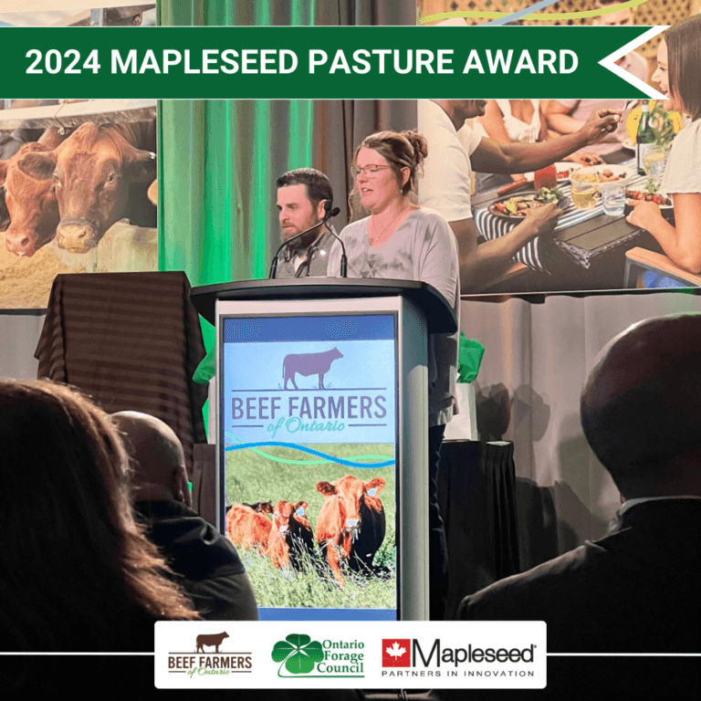JPD Angus Wins 2024 Mapleseed Pasture Award – Ontario Forage Network