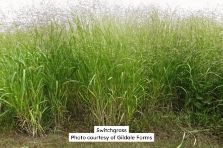 GoForages – Ontario Forage Network